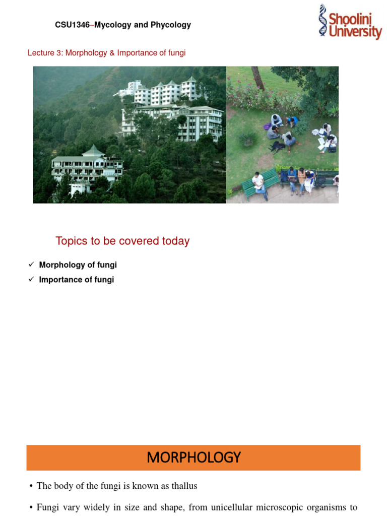Mycology Lecture: Fungi Morphology & Role | PDF | Fungus | Cell (Biology)