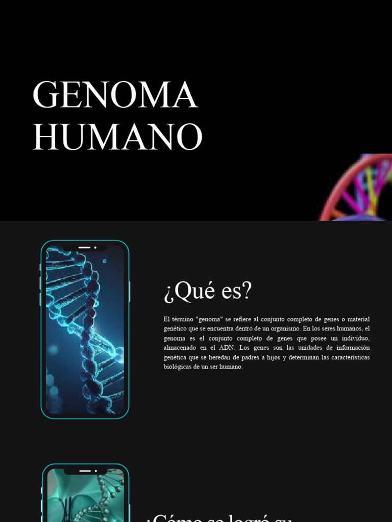 El Genoma Humano XD | PDF | Genoma | Secuenciación del genoma completo
