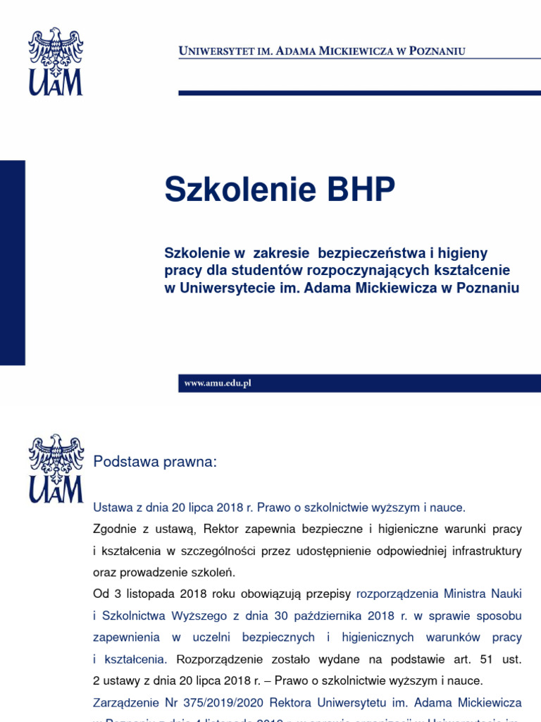 BHP 2023 | PDF