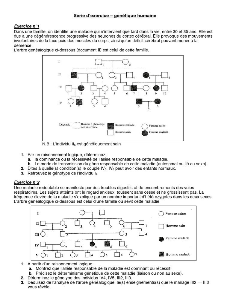 Exercices sur la génétique humaine | PDF | Dominance (Génétique) | Génotype
