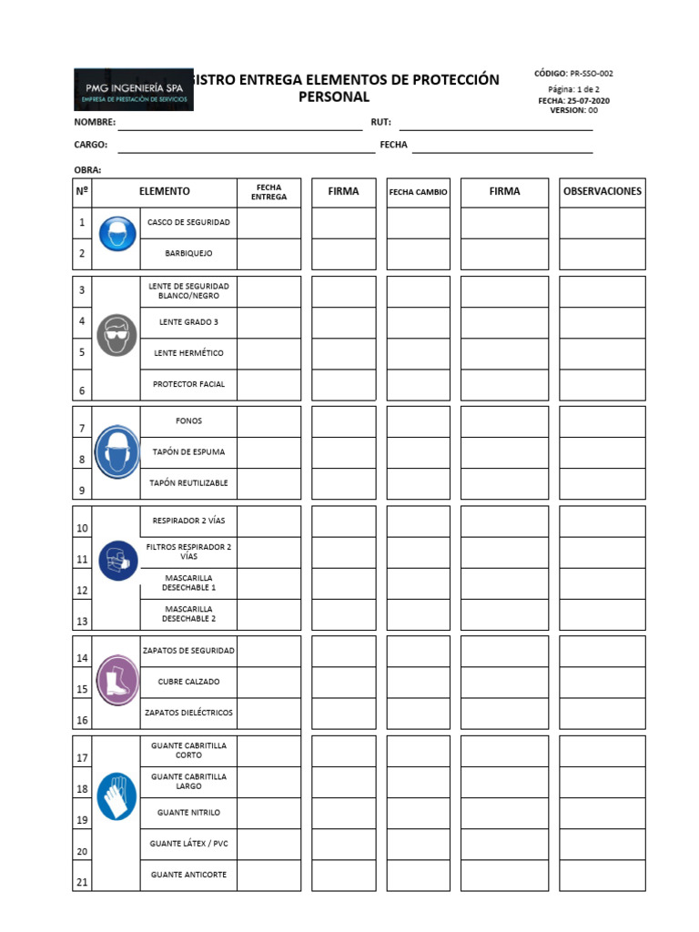Entrega de EPP | PDF