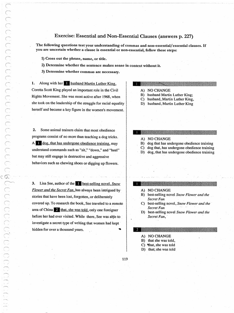 SAT Grammar Essential Vs Non Essential Information | PDF