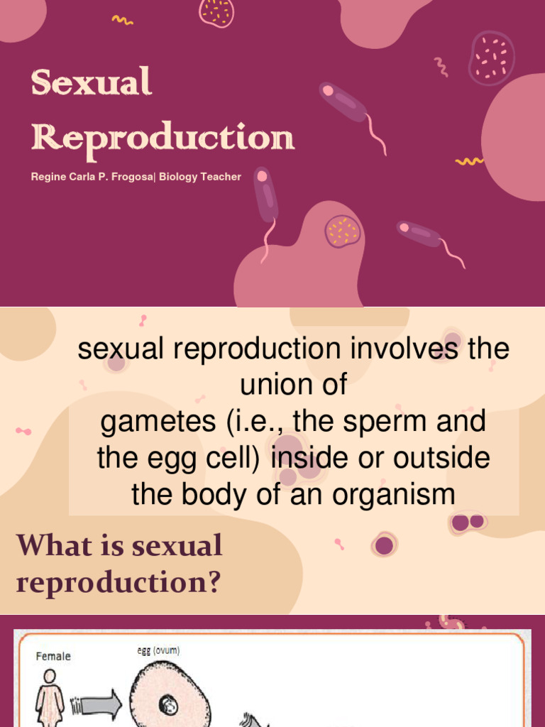 Sexual Reproduction Development and Nutrition | PDF