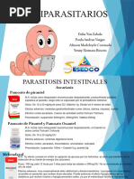 Paramox Inserto WEB | PDF | Diarrea | Microbiología