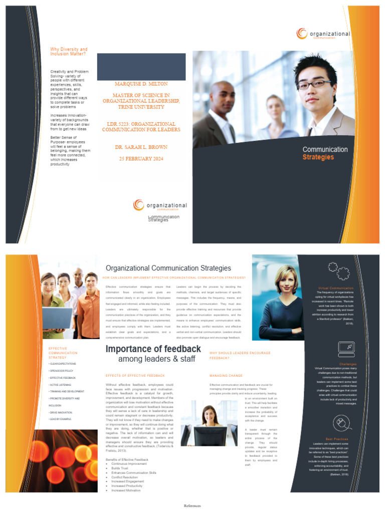 5223-Professional Brochure | PDF | Communication | Business