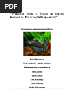 Anatomía y Fisiología de Los Peces Teleósteos | PDF | Vena | Pescado