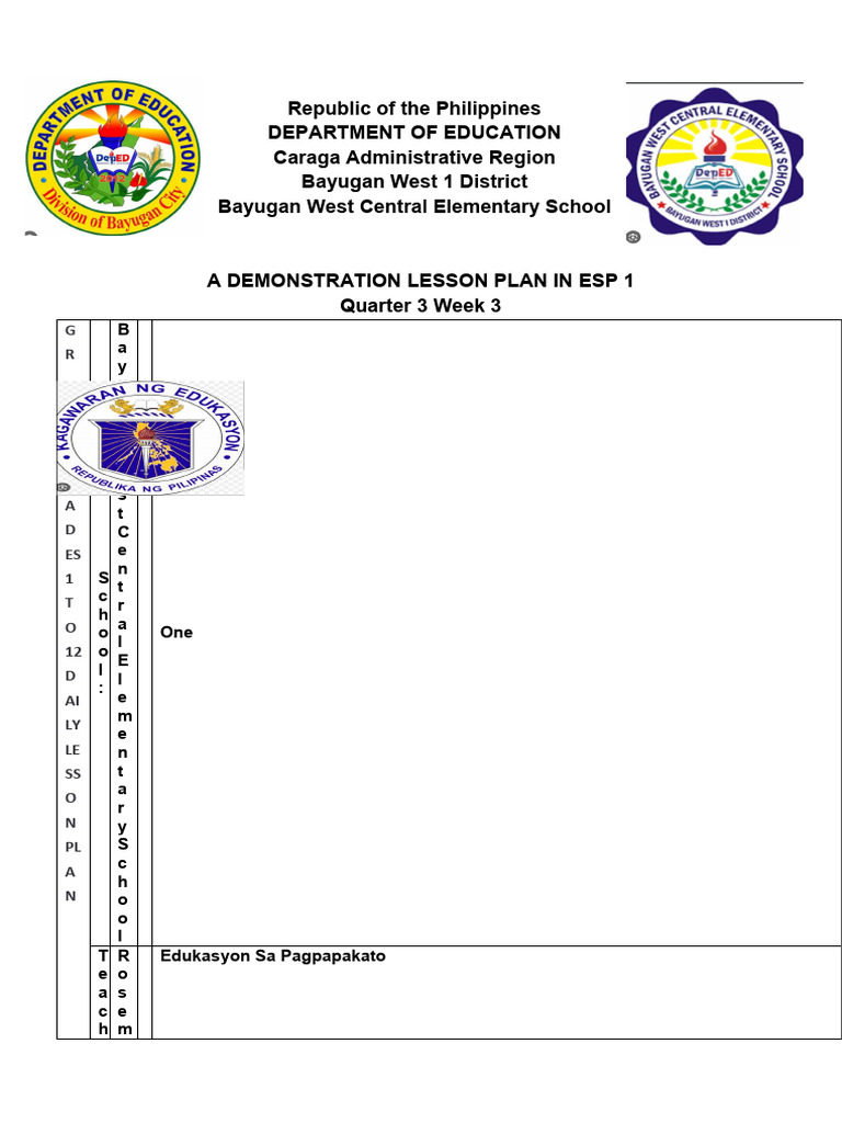 Sueles Final DLP | PDF