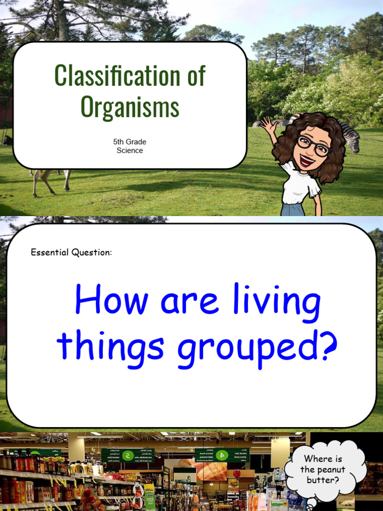 Classification of organisms (2021-2022) | PDF | Cell (Biology) | Organisms