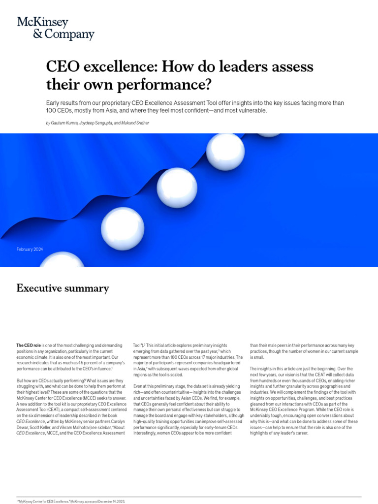 CEO Excellence Assessment Insights | PDF | Leadership | Mc Kinsey & Company