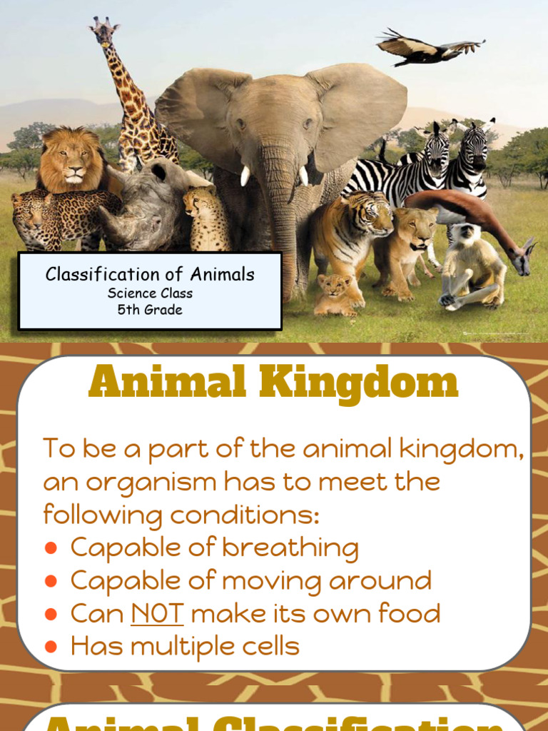 Classifying Animals (2021-2022) | PDF