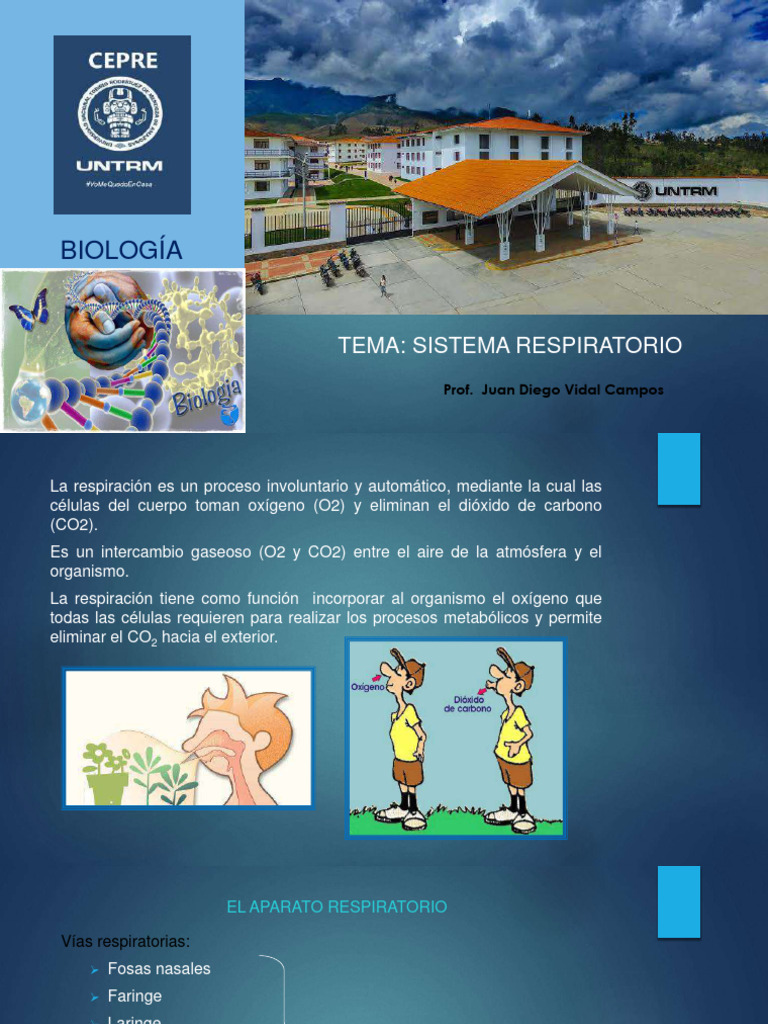 SISTEMA RESPIRATORIO - Compressed Compressed | PDF