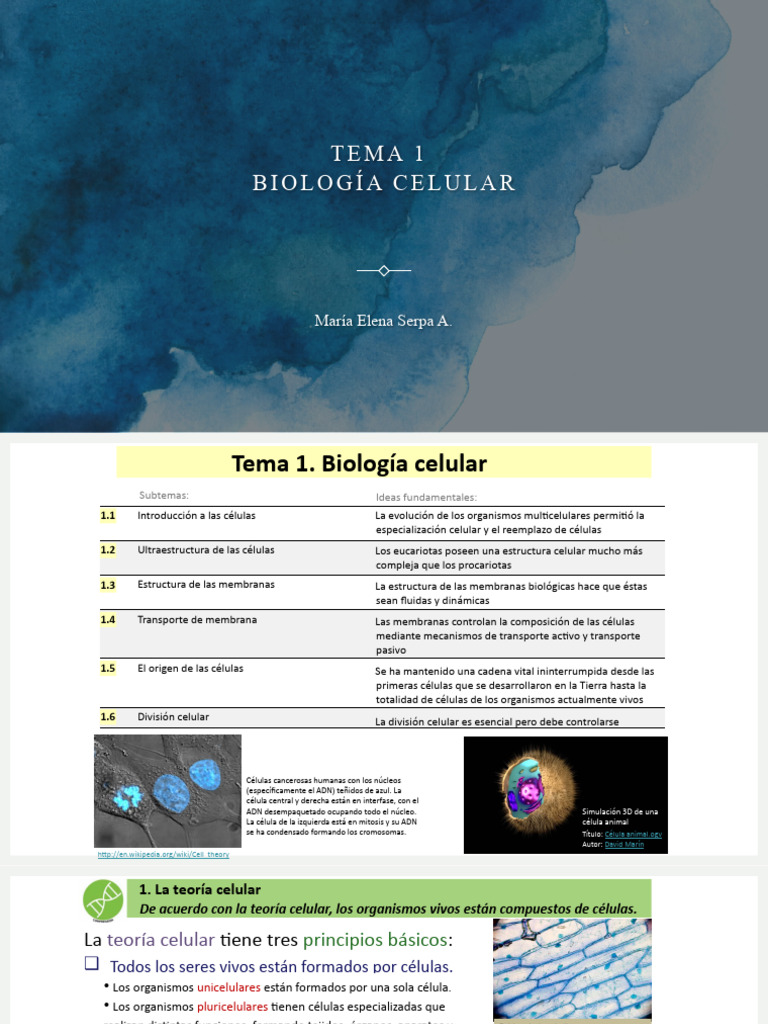TEMA 1 Biologia Celular | PDF