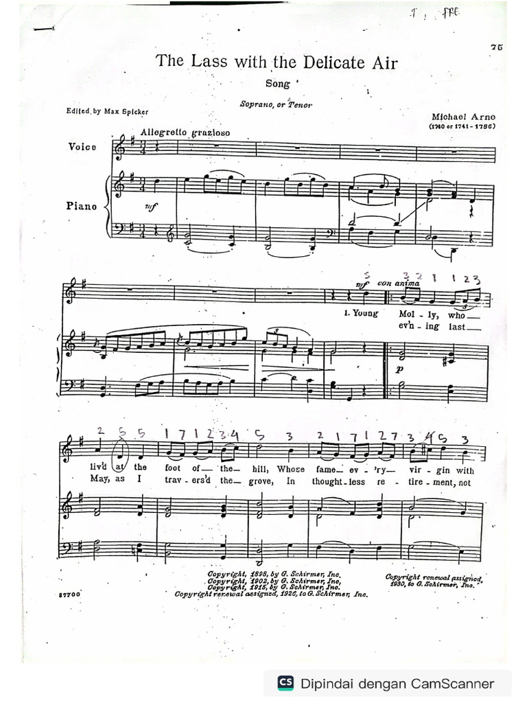 The Lass With The Delicate Air | PDF