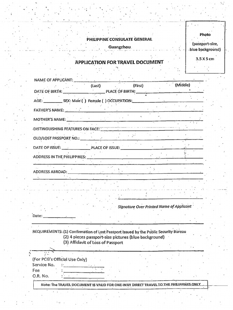 Travel Doc Application Form | PDF