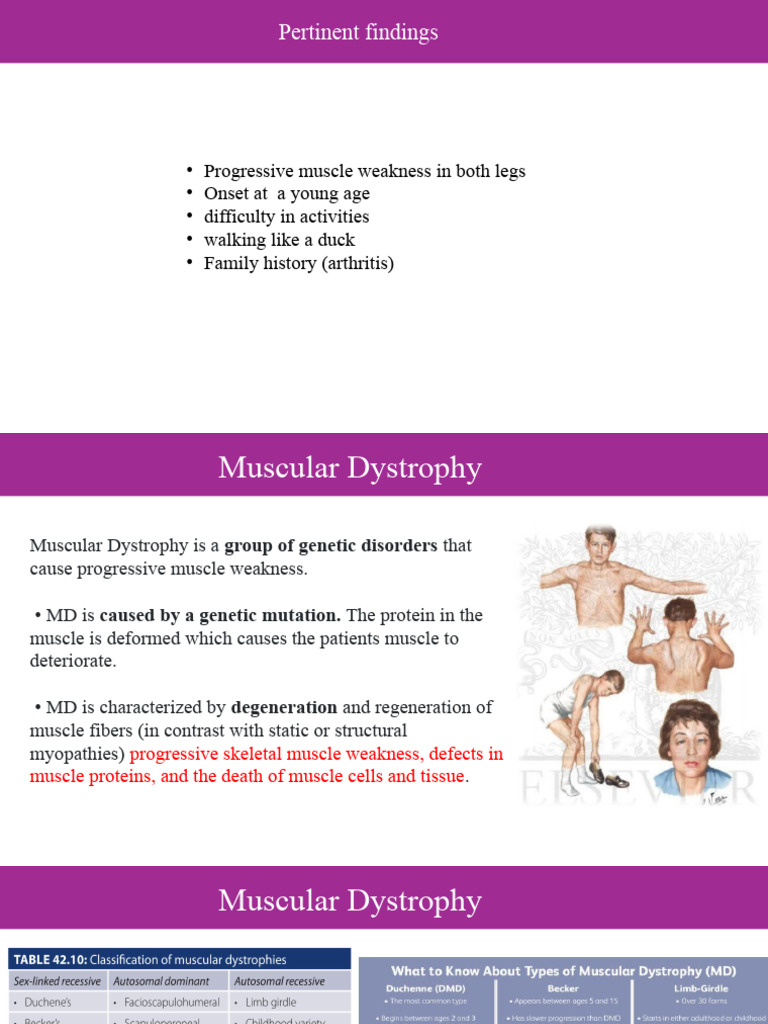 PBL 12 Muscular Dystrophies | PDF | Muscular Dystrophy | Skeletal Muscle