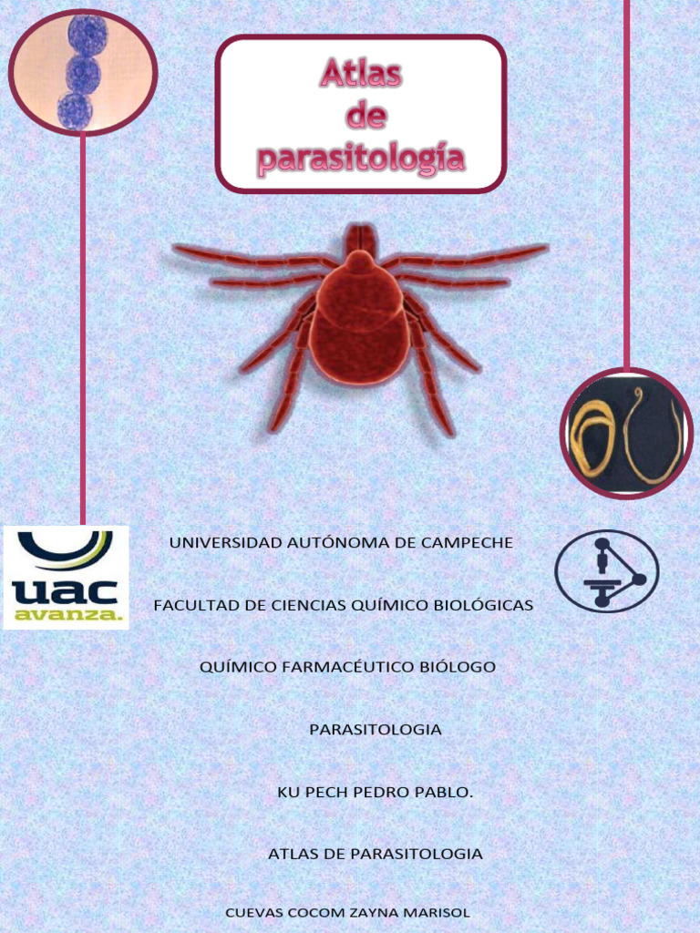 Atlas de Parasitologia | PDF