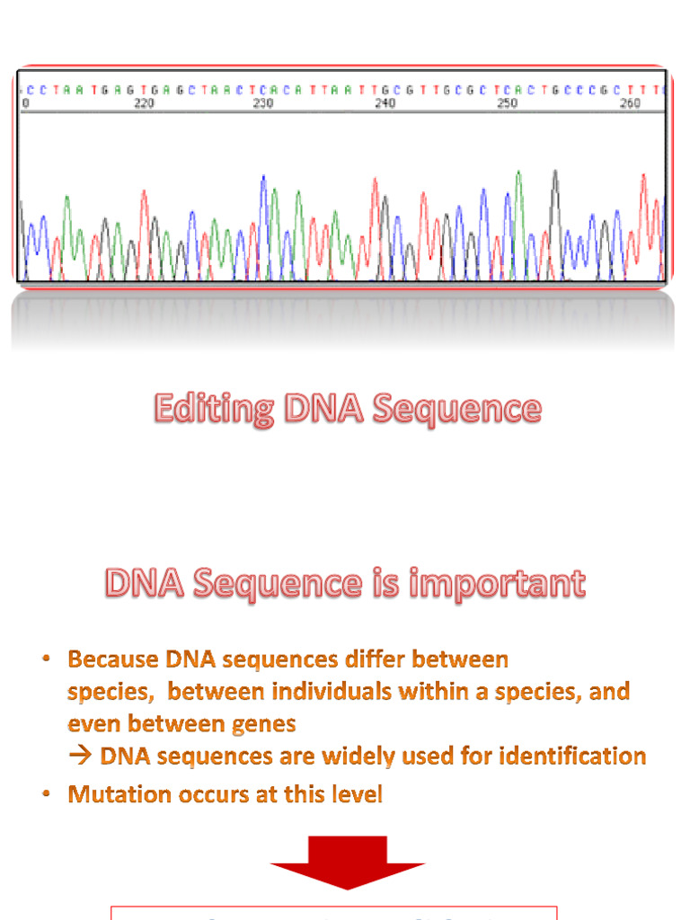 3 - Editing DNA Sequence | PDF