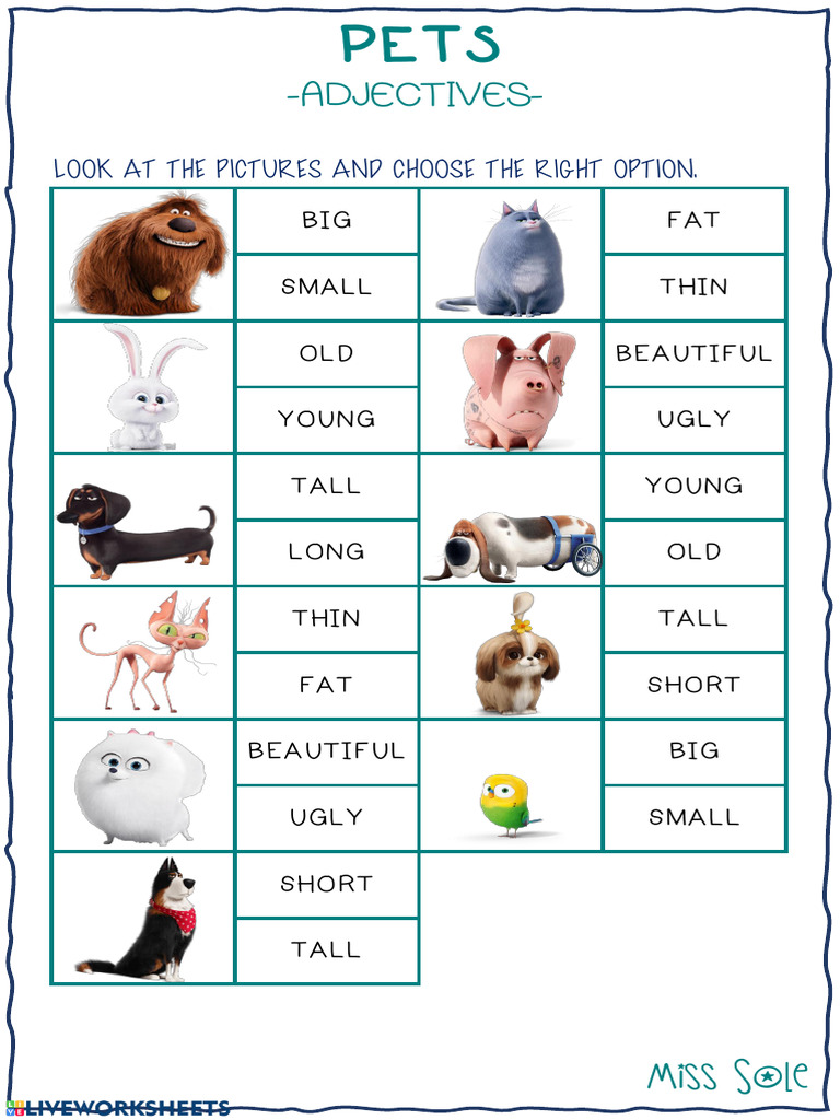 Adjectives for Describing Pets | PDF