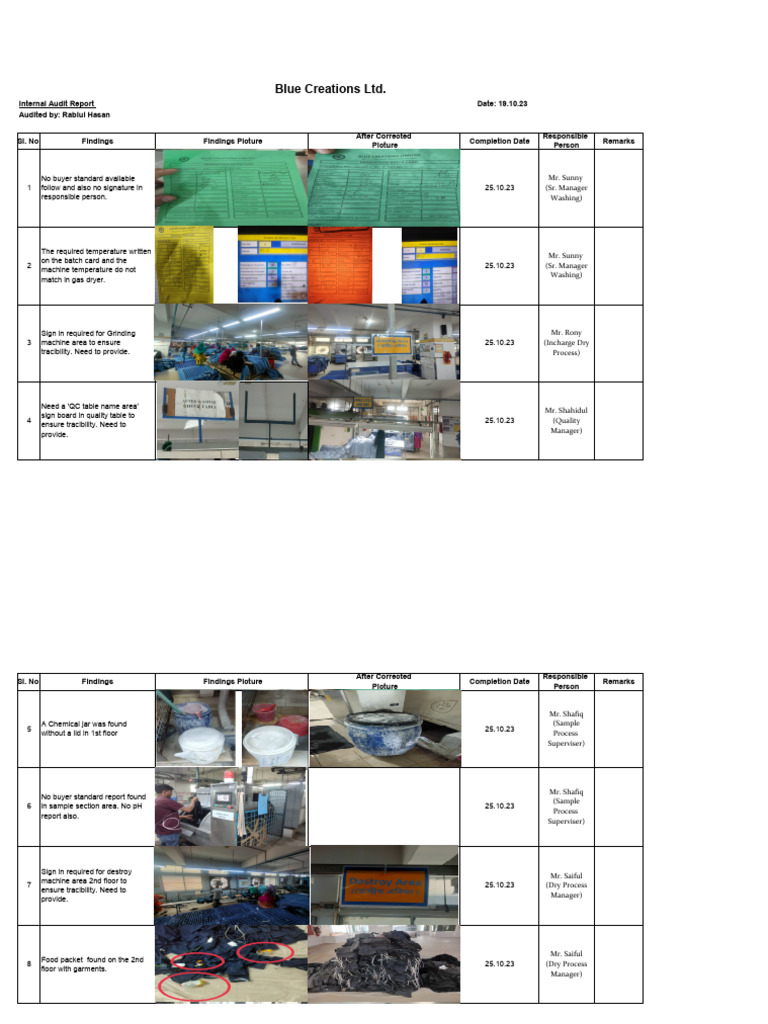 BCL-Internal Audit Report | PDF