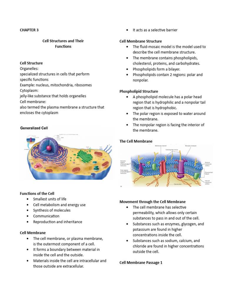 HAP CHAPTER 3 | PDF | Cell Membrane | Osmosis