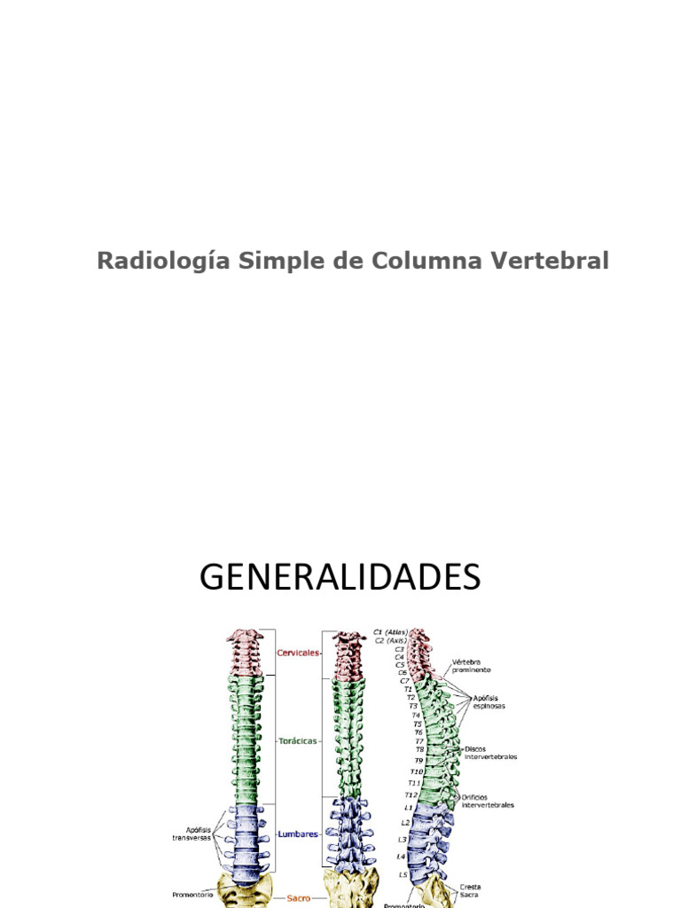 Radiología de Columna Cervical | PDF | Dentadura postiza | La columna ...