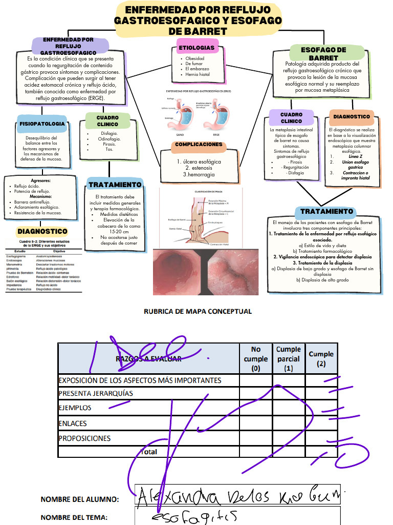 Mapa de Esofagitis | PDF | La enfermedad por reflujo gastroesofágico ...