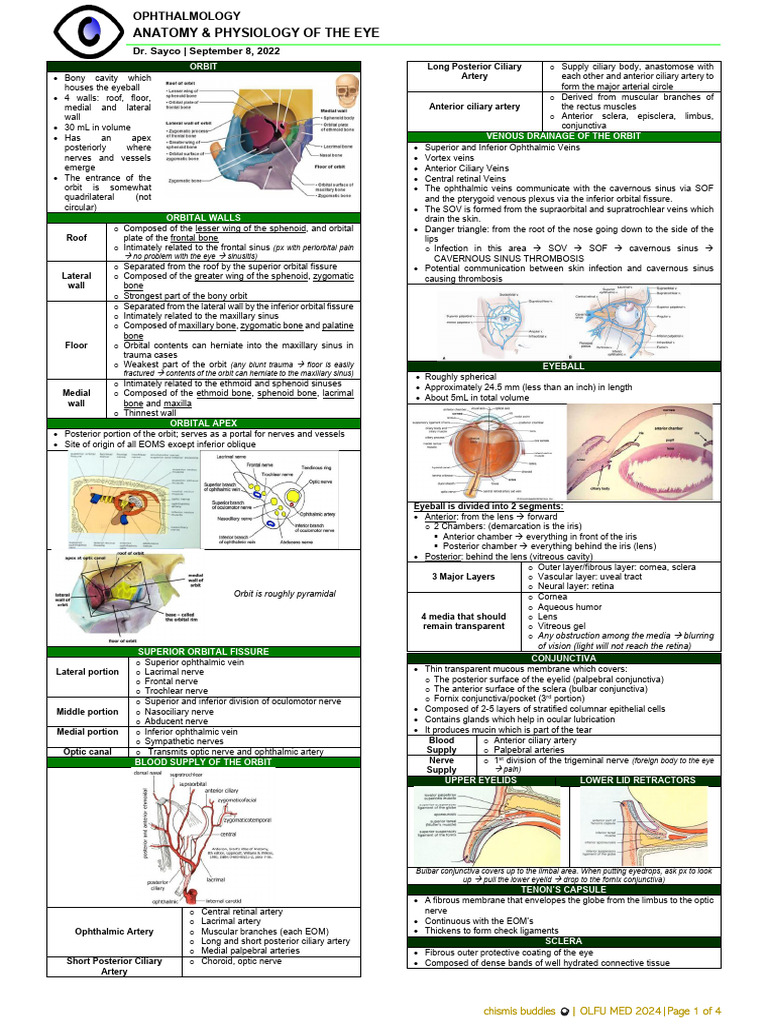 Eye Anatomy and Physiology Overview | PDF | Cornea | Human Eye