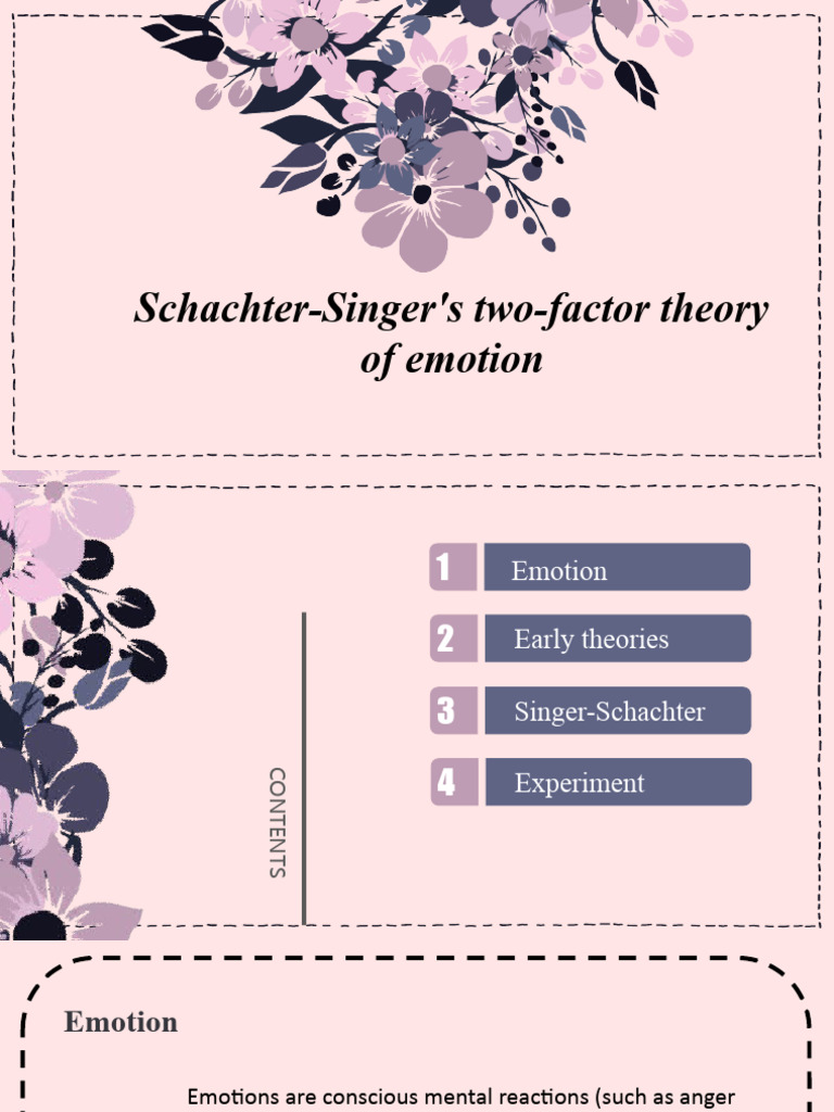 Schachter-Singer theory of emotion | PDF