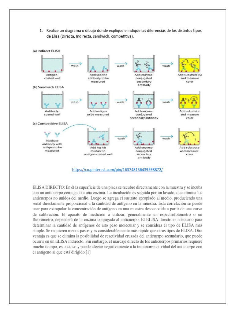 Quimica Especial | PDF | Elisa | Anticuerpo