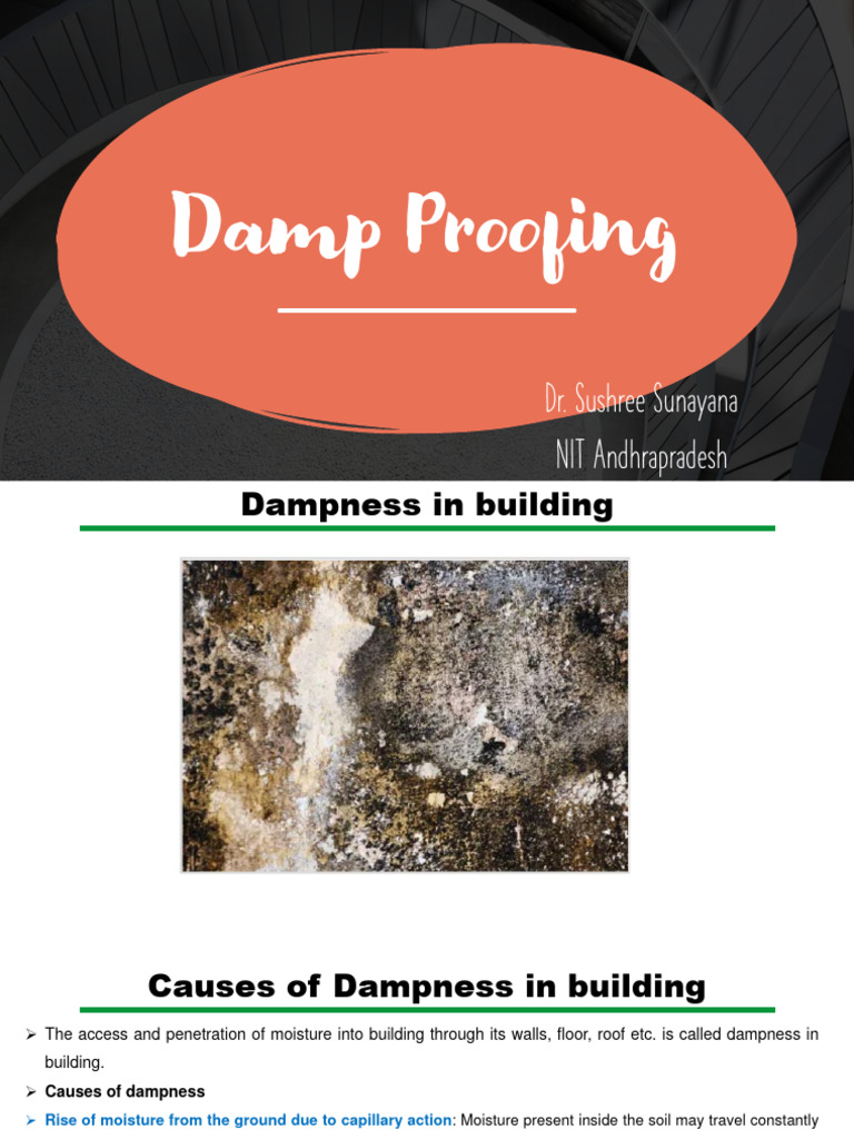 Damp Roofing | PDF