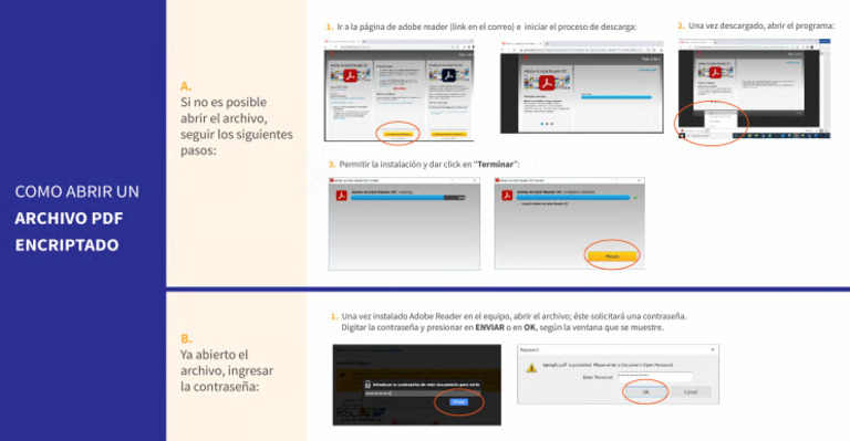 Infografía PDF Encriptado | PDF