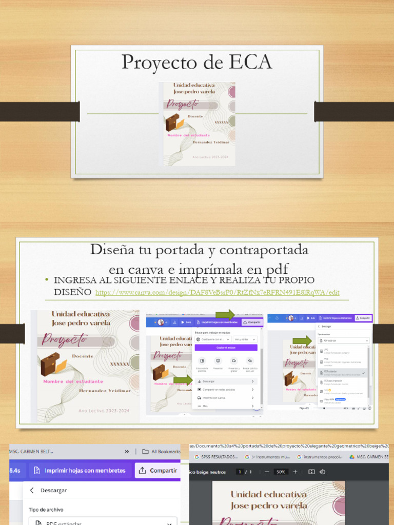 Proyecto de ECA | PDF