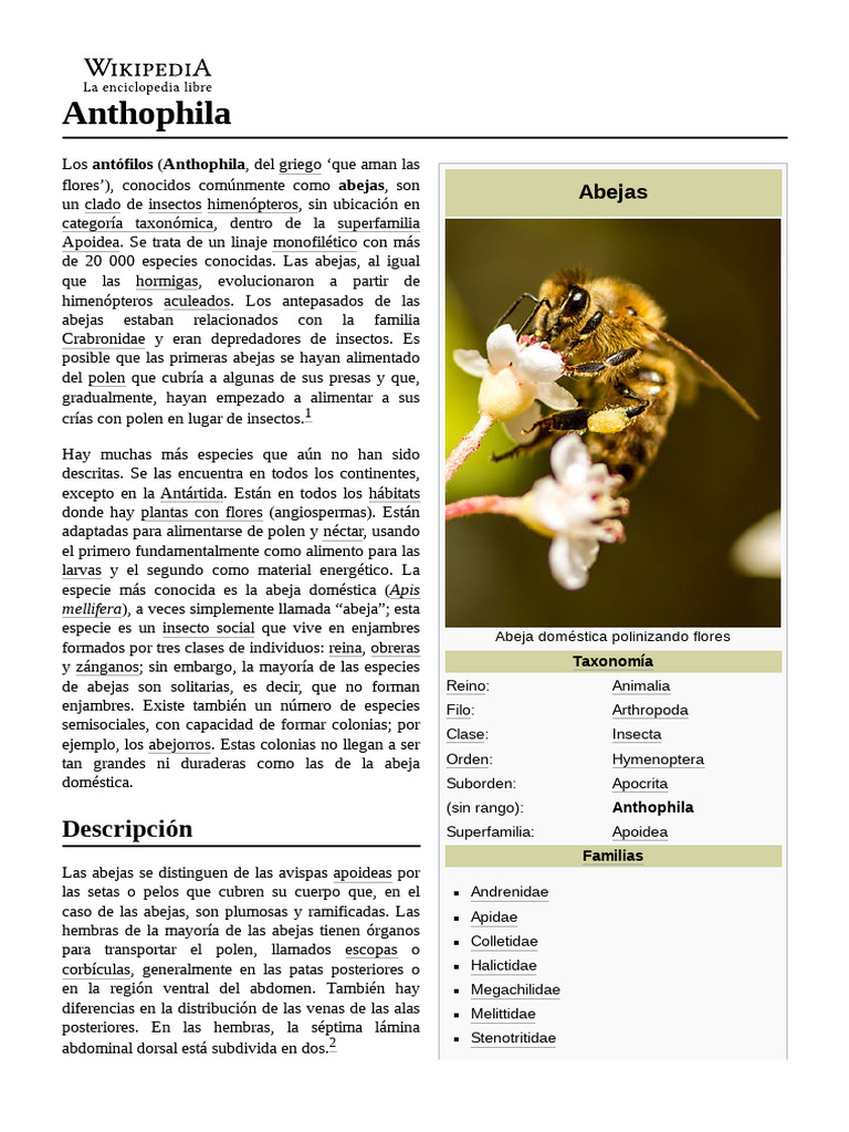 Anthophila | PDF