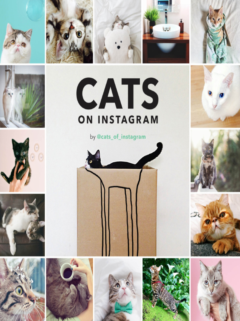 Cats On Instagram | PDF