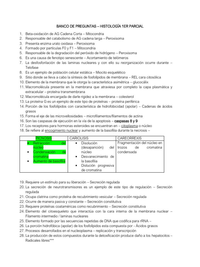 Banco de preguntas - 1er parcial | PDF