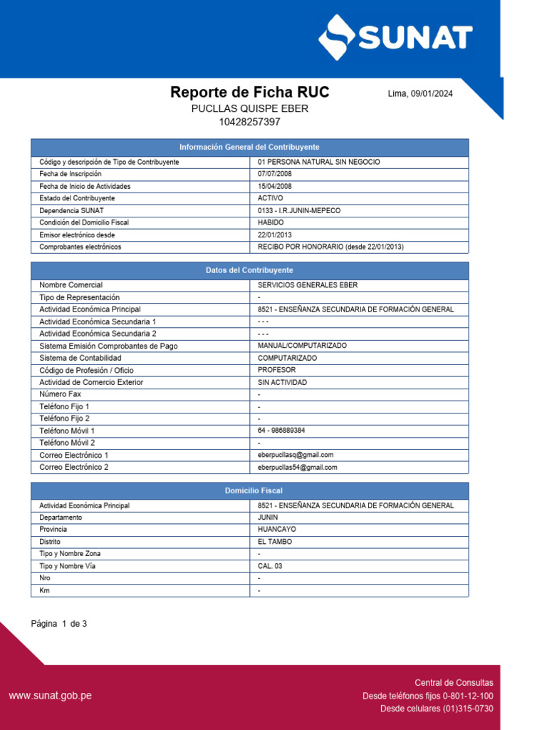Ficha Ruc 2024 | PDF