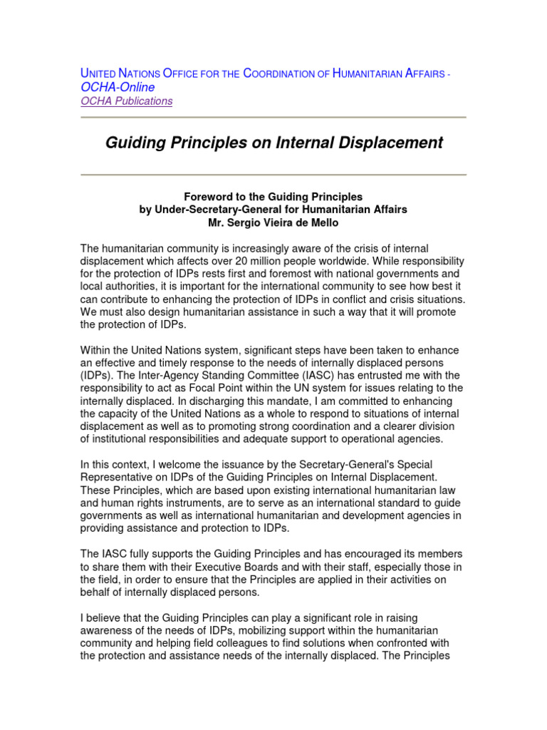 Guiding Principles On Internal Displacement | PDF | Internally ...