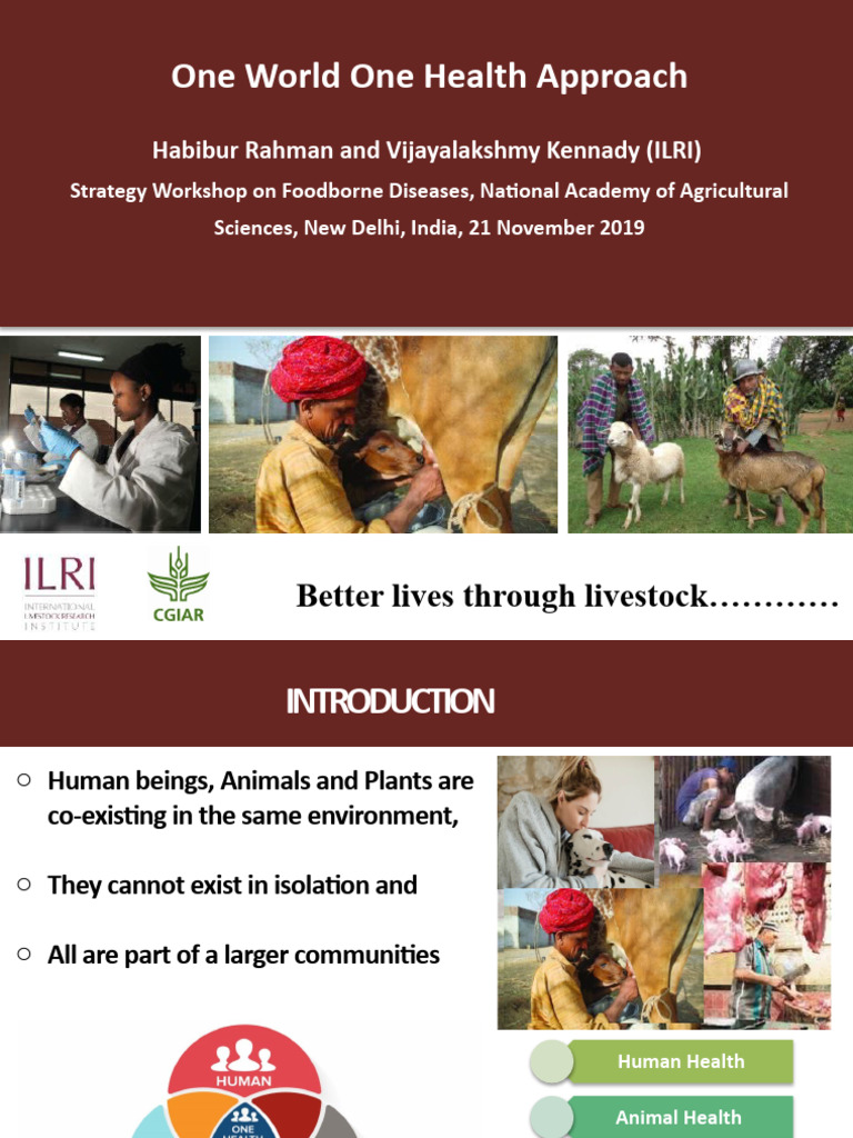 One Health: Integrating Human, Animal, and Environmental Health | PDF ...