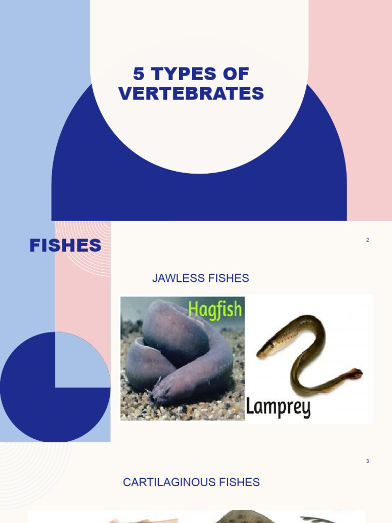 Vertebrates | PDF