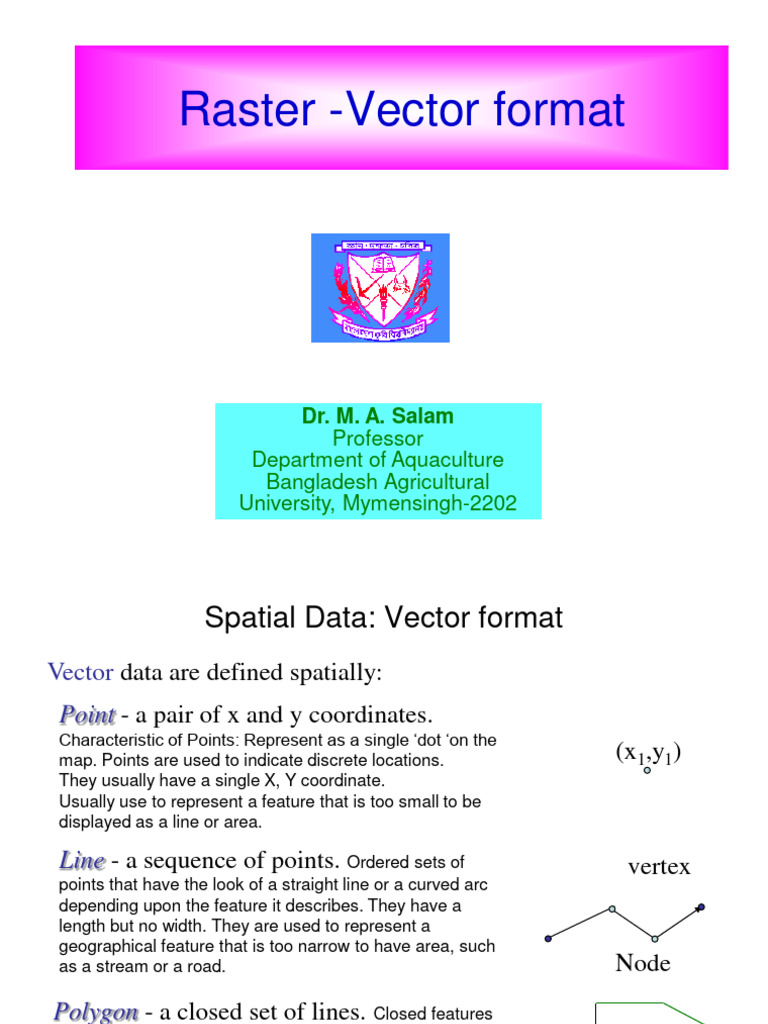 1 Vector and Raster Data | PDF | Computing | Applied Mathematics