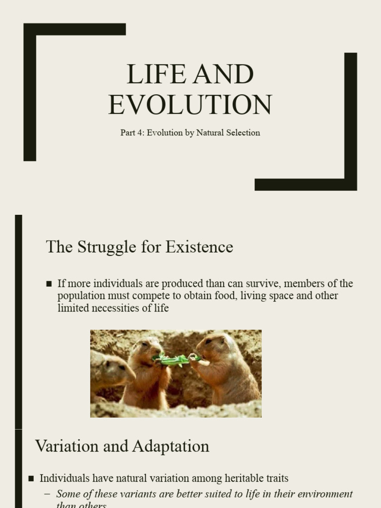 Life and Evolution - Part 4 Natural Selection | PDF | Natural Selection | Adaptation
