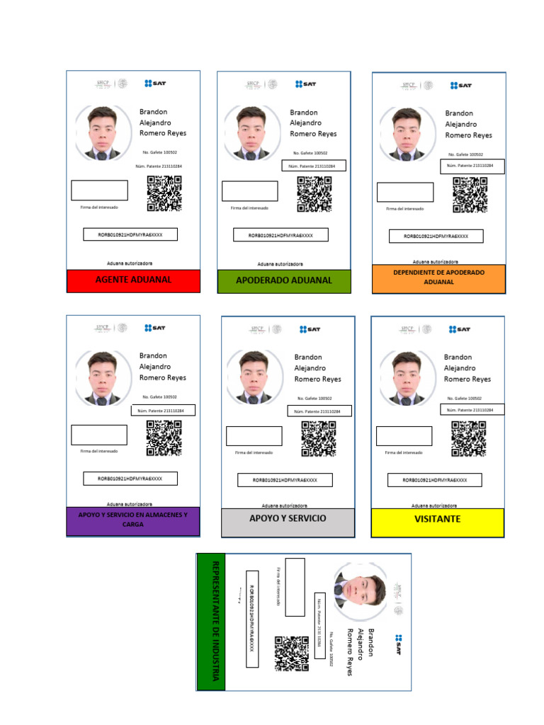 Gafetes | PDF | aduana | Finanzas del gobierno