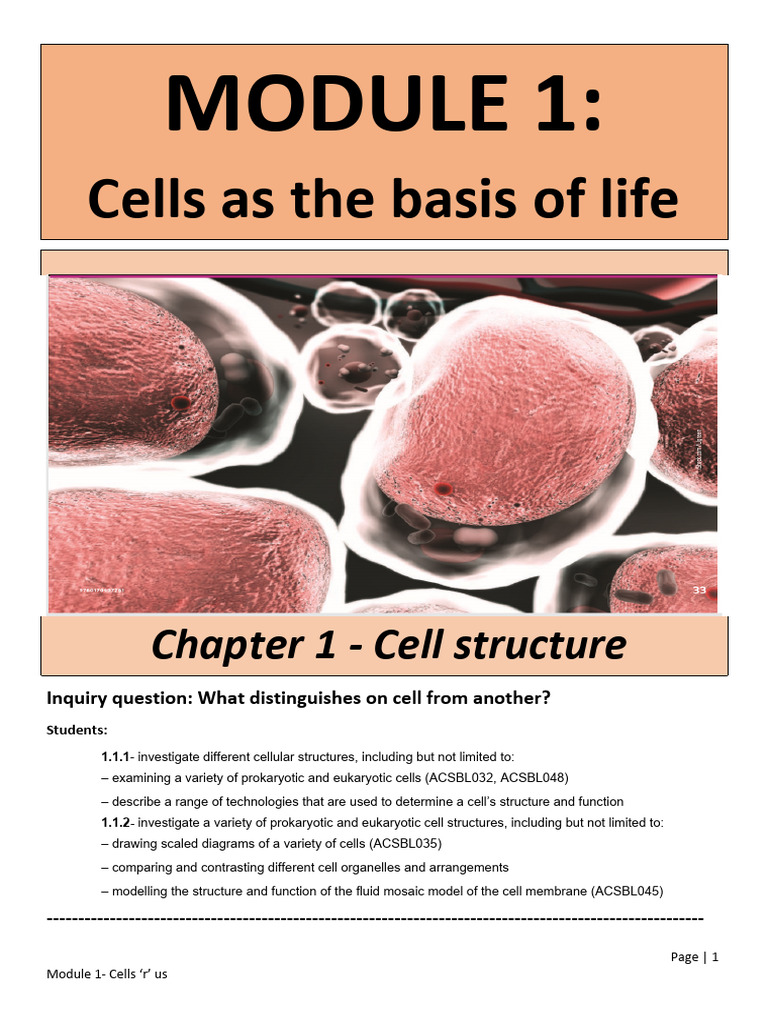 M1-Cell As Basis of Life | PDF | Cell (Biology) | Microscope