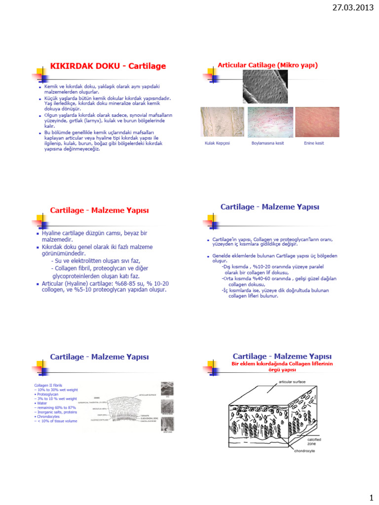 Bomekanik 4 OGR | PDF