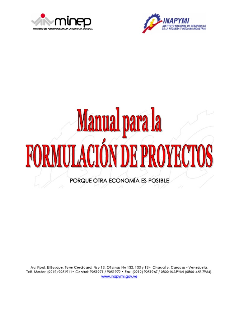 Manual de Proyectos | PDF