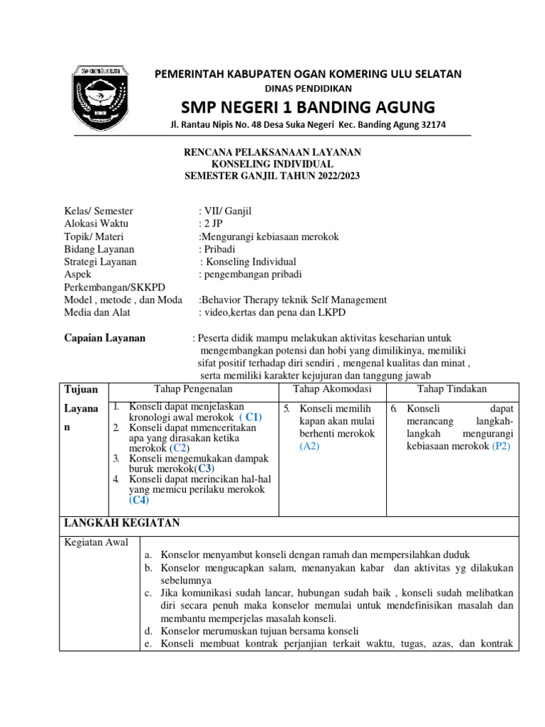 RPL Konseling Individu | PDF