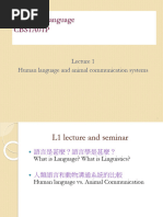 MMSE (Chinese Version) | PDF
