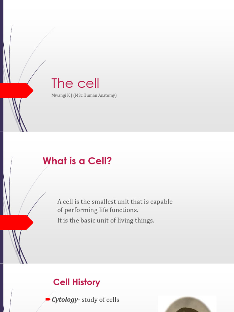 The Cell | PDF