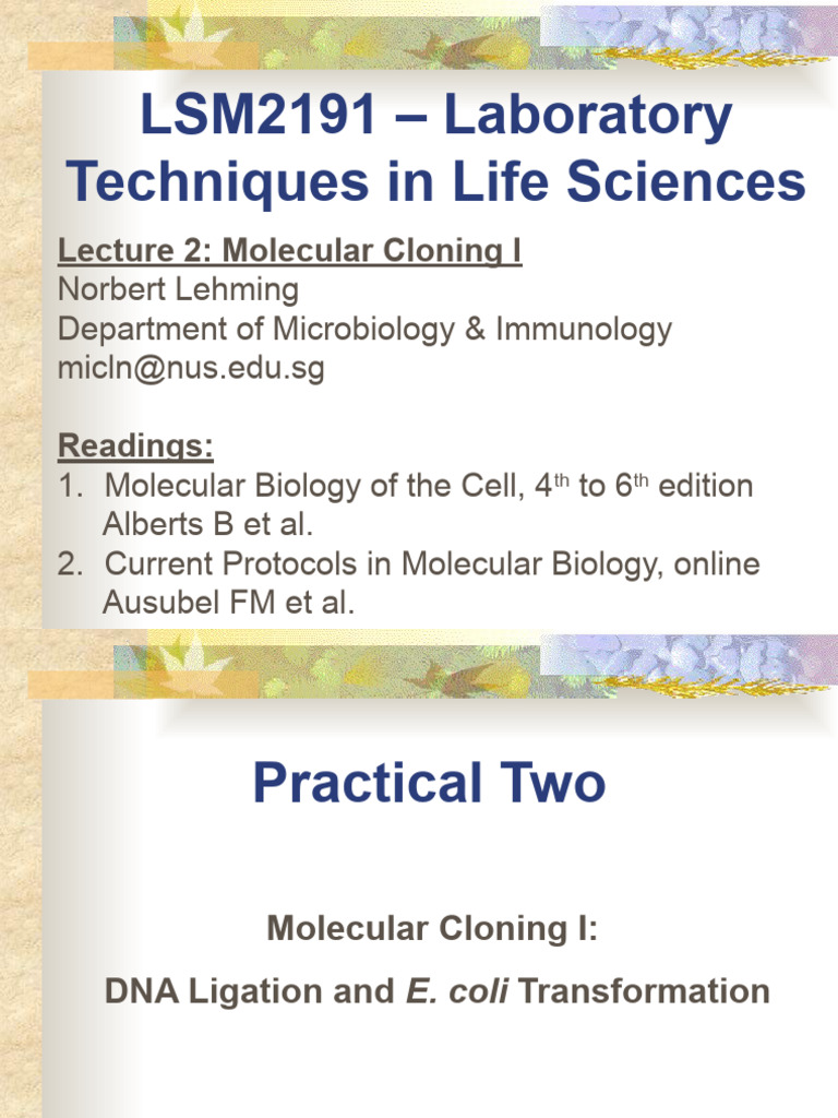2024 LSM2191 Lecture 2 Molecular Cloning I2 | PDF | Molecular Cloning | Taq Polymerase