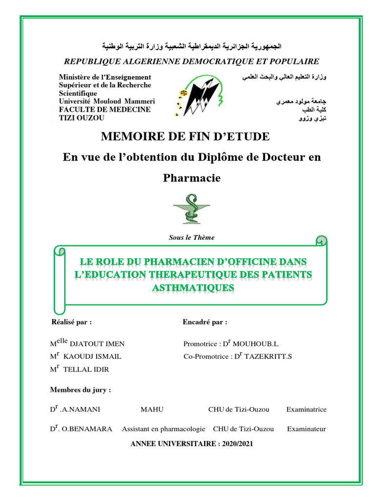 Memoire PDF Finale | PDF